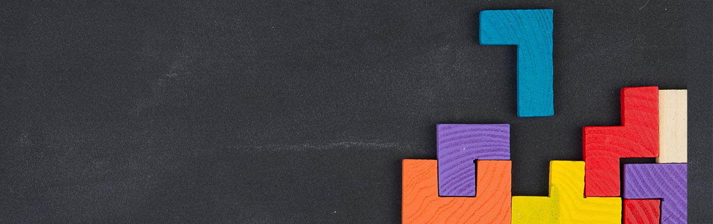 Services | BlueSky Privacy